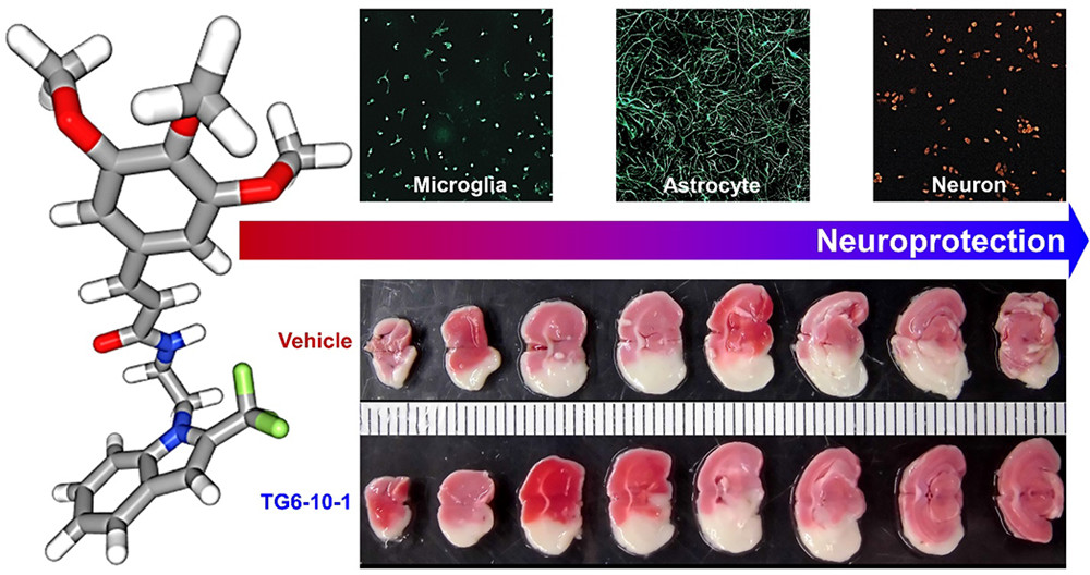 Research – Jiang Lab