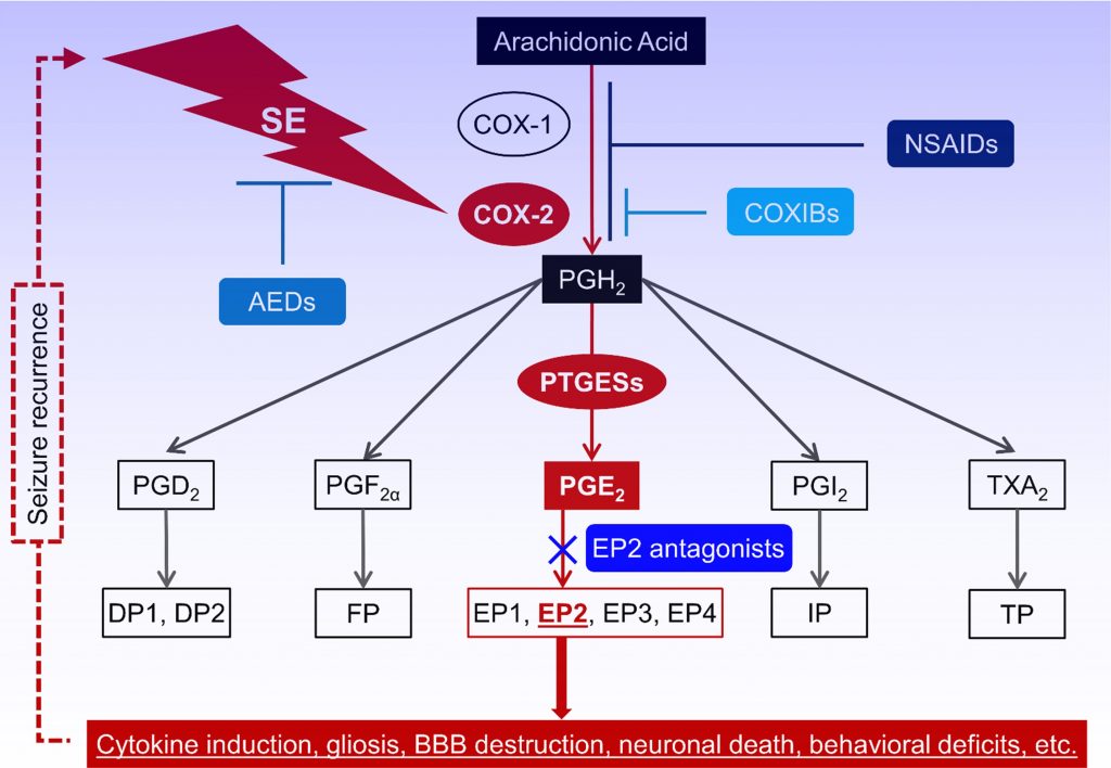 Research – Jiang Lab